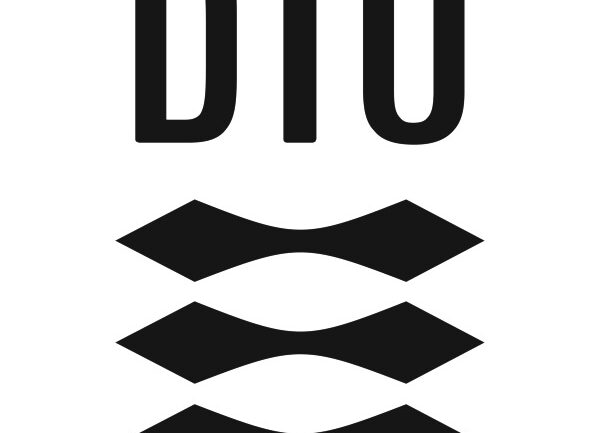 Kommende Event: DTU Comic Con 2025 | Ida Adsbøl Christensen Art and ...